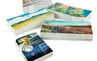 7 Tips for Choosing Postcard Printing Services